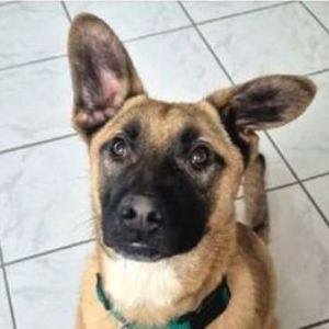 XARO verspielt und aufgeschlossen